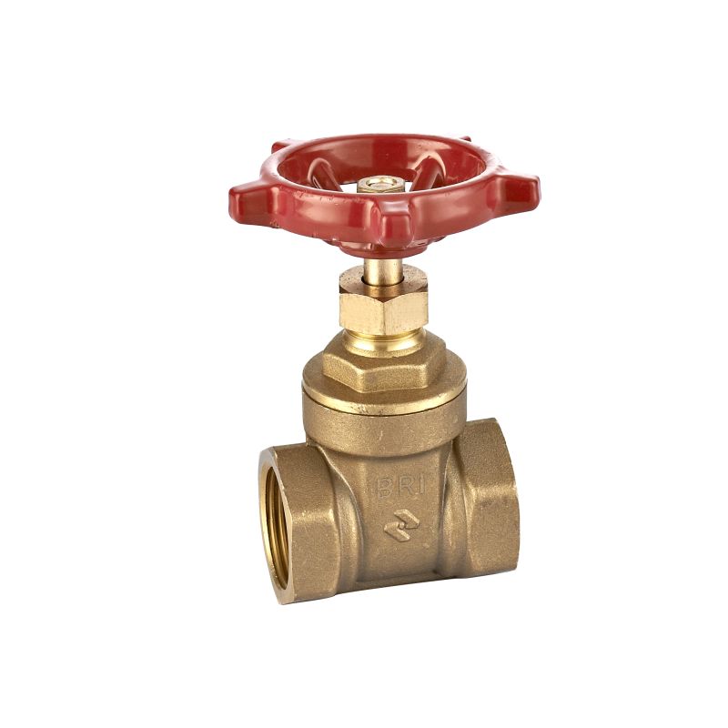 USD 8.46 - Bri Gate Valve 20mm Brass GV-134-20 | Building material from ...